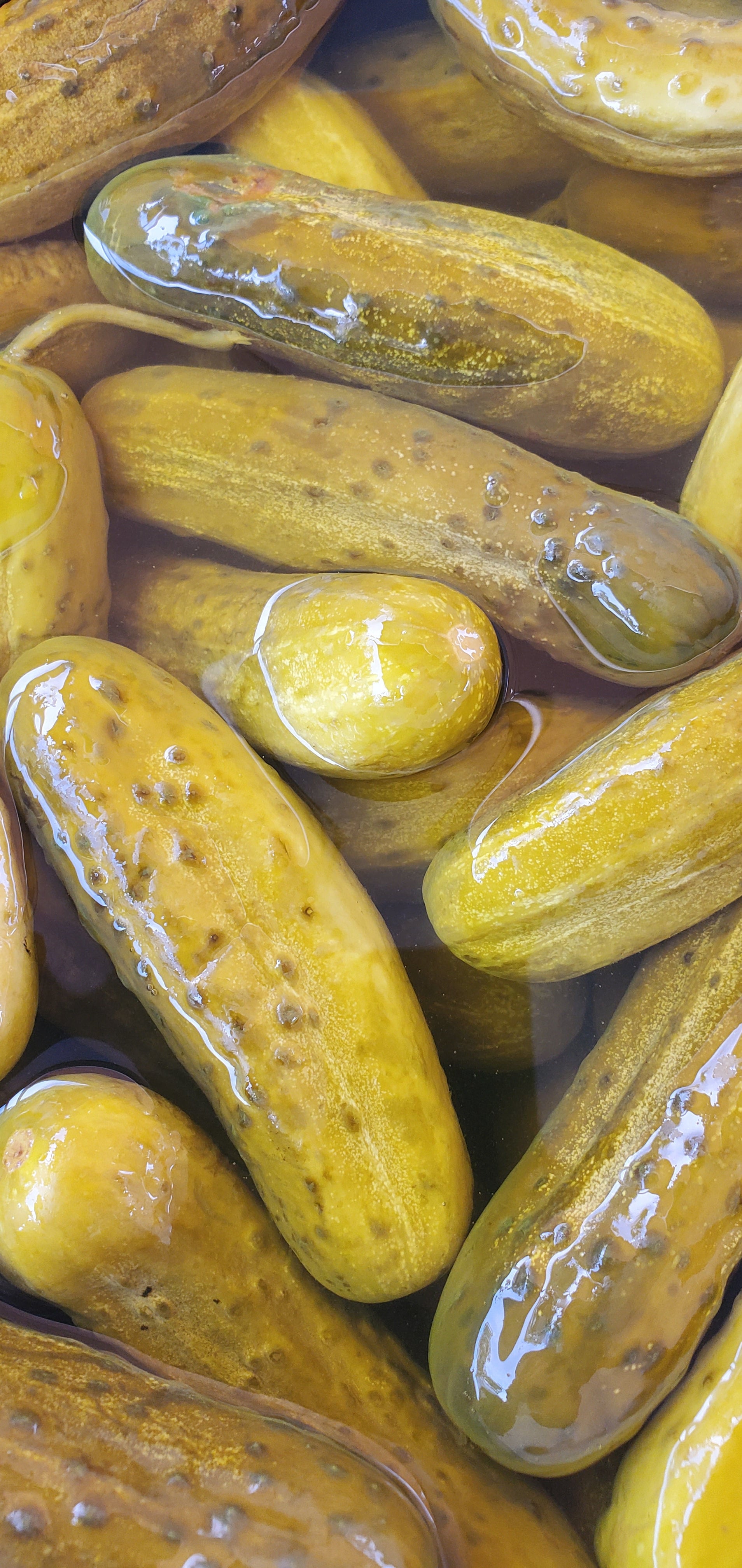 Whole Dill Pickles | PICKLE CULTURE