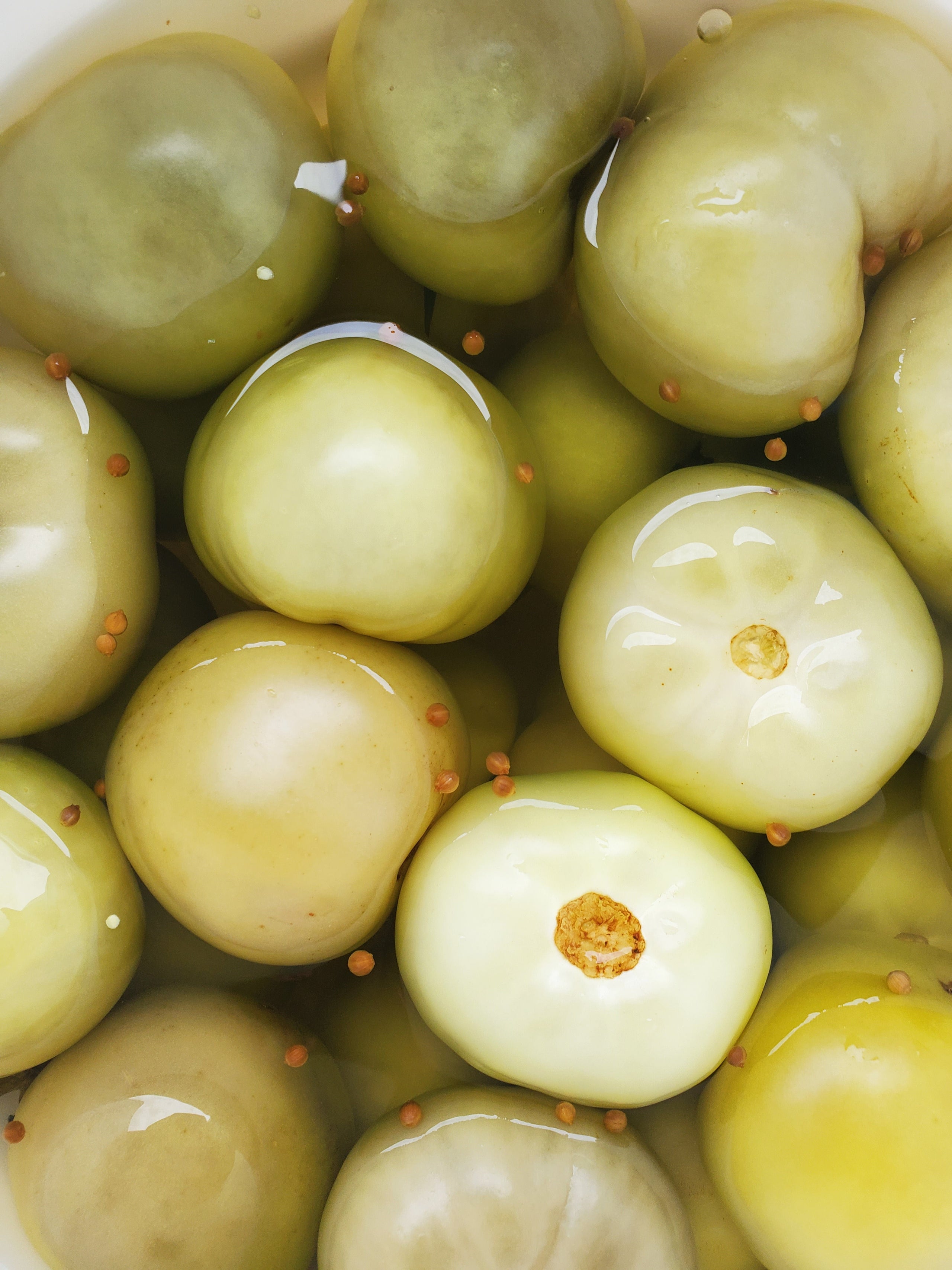 Mustard Sour Tomatoes | PICKLE CULTURE